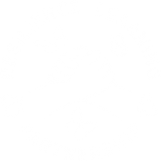 National Trauma Transformation Programme